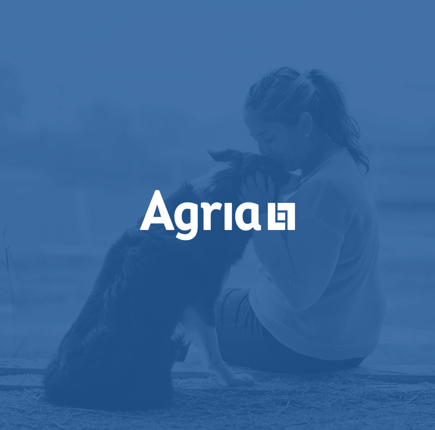 Our contracted PPC expert aided roadmap momentum | Fresh Egg Recruitment