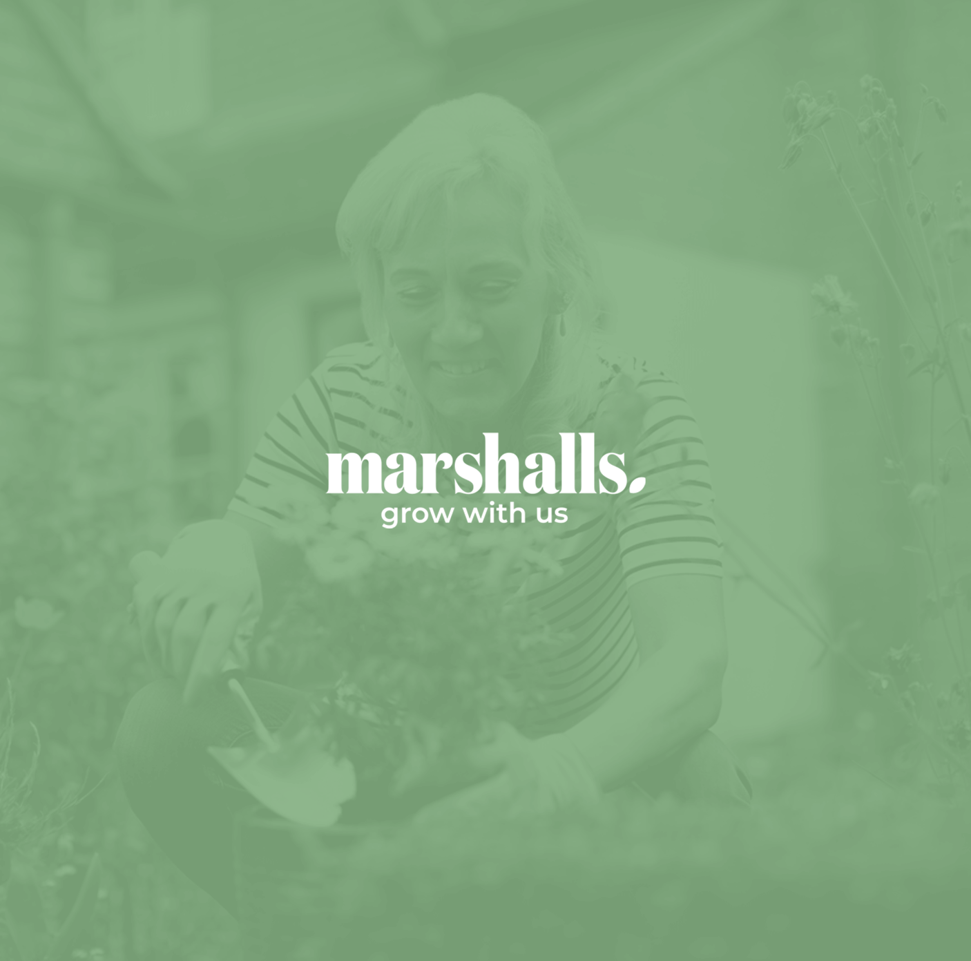 Cultivating Split Tests and Growing ROI for Marshalls Seeds - CRO Case ...